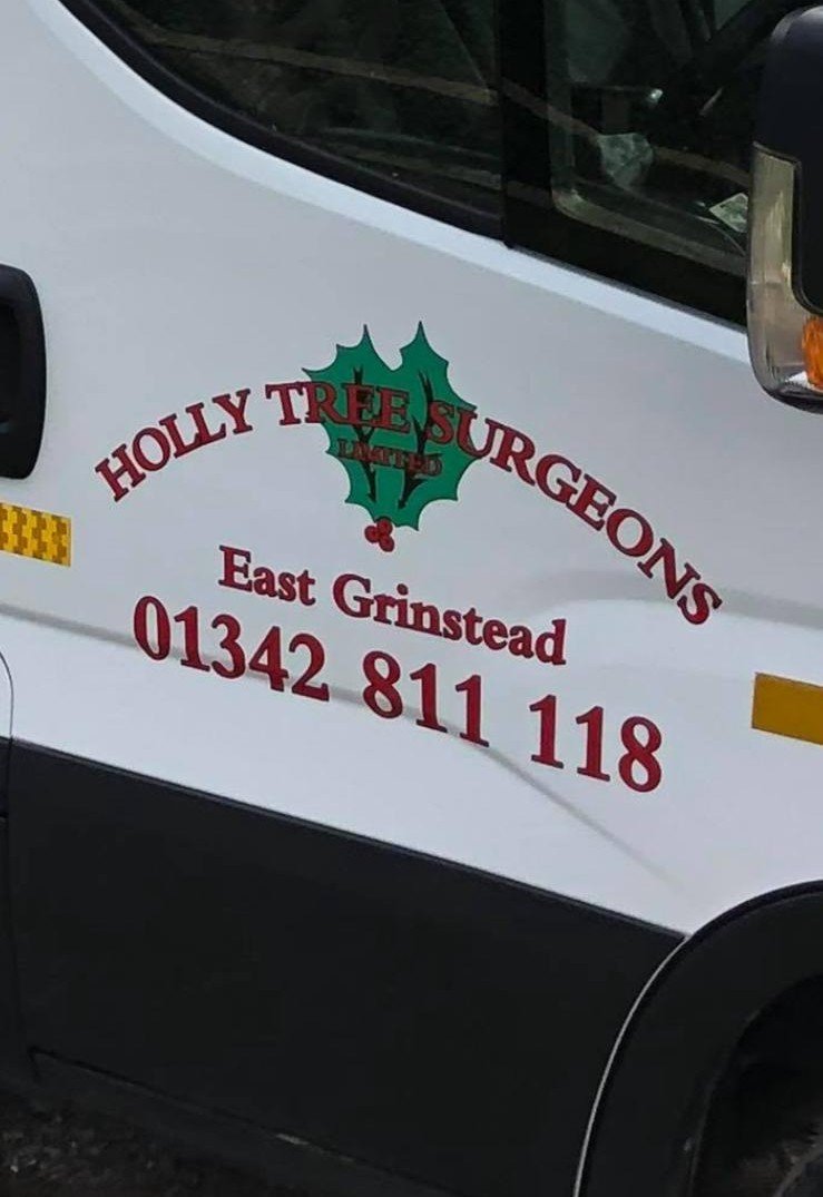 Tree surgeons Sussex, Surrey, Kent
